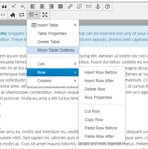 Video Snippets in the CMS – Web & Digital Help Center